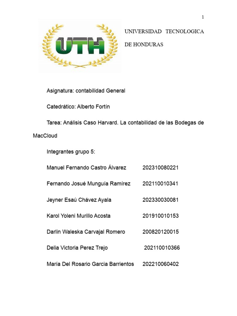 Contabilidad en Bodegas MacCloud | PDF | Contabilidad | Business