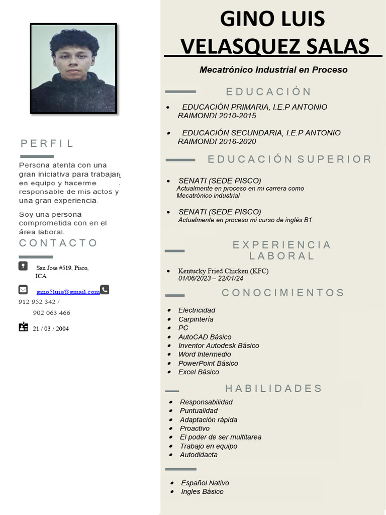 CV Gino Luis Velasquez Salas 2024 | PDF