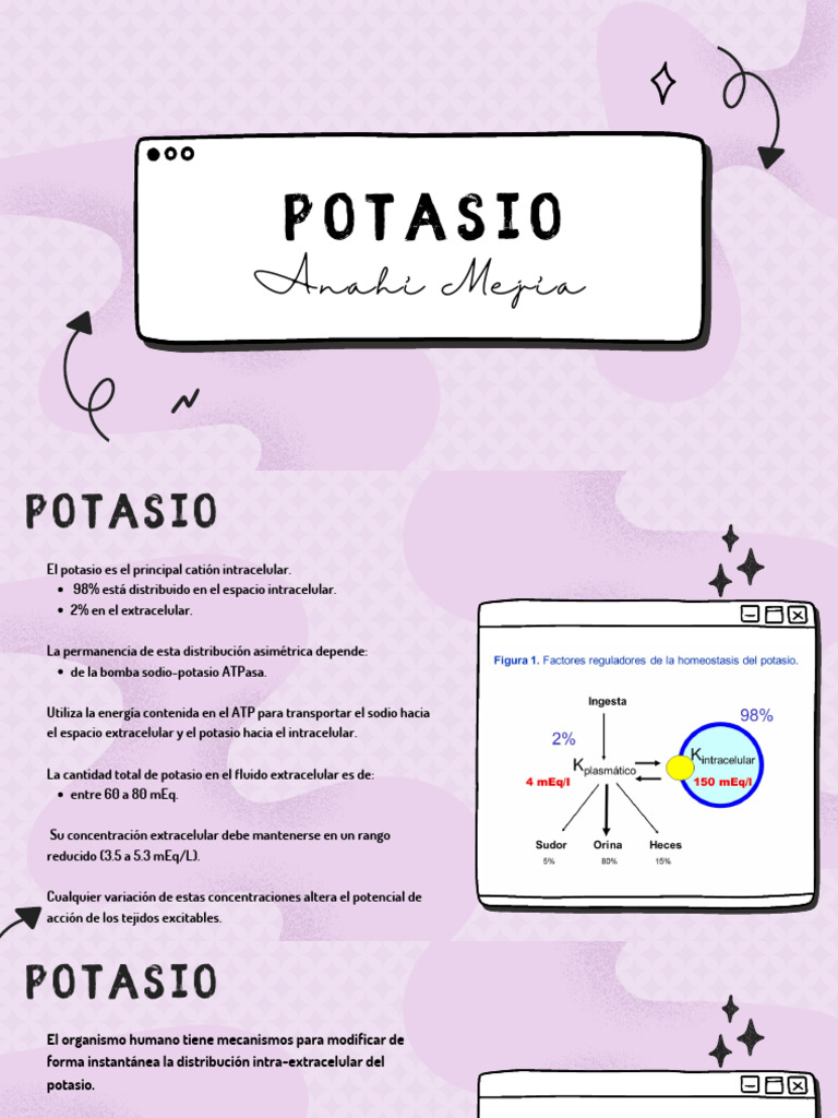POTASIO | PDF | Potasio | Química