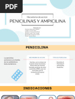 Ampibex 1 | PDF | Penicilina | Medicina CLINICA