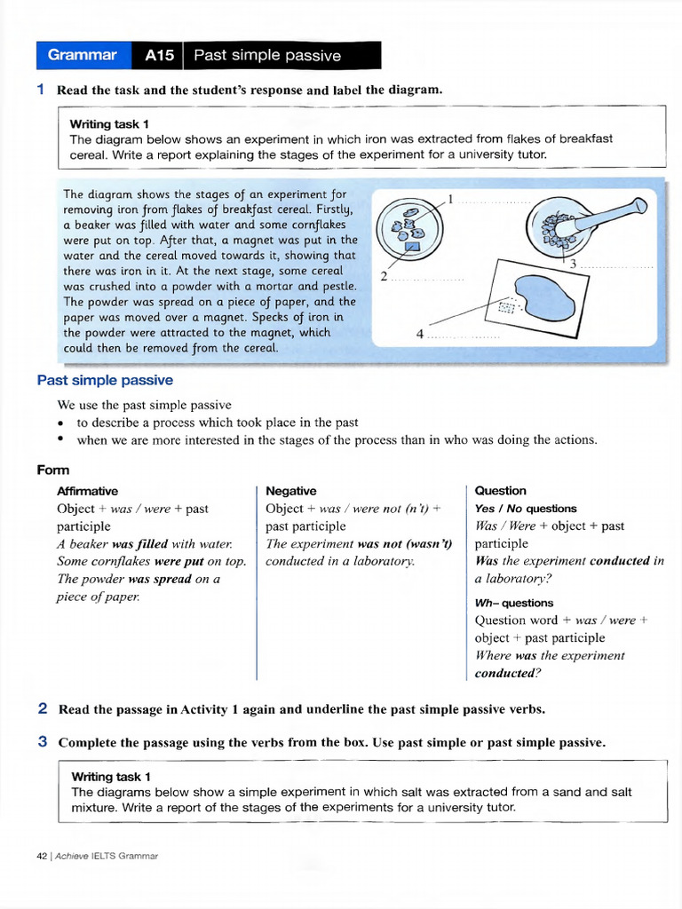 Passive - Process - Past Tense | PDF | Linguistics | Grammar