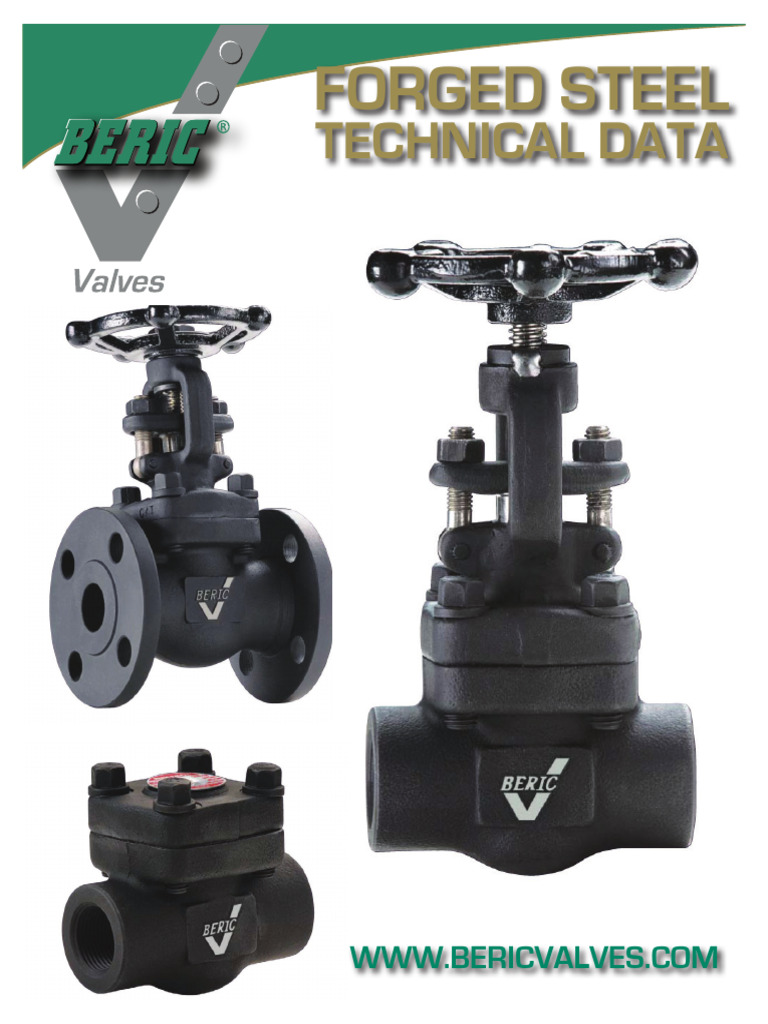 Beric Forged Steel Valves | Download Free PDF | Valve | Plumbing