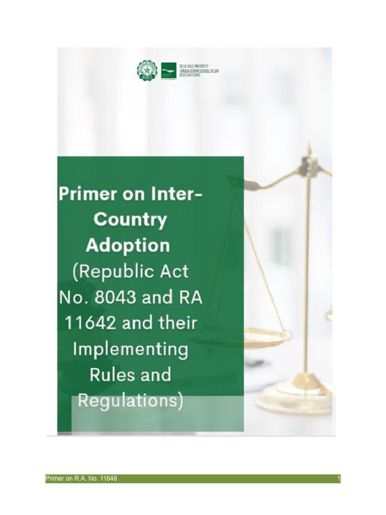 Intercountry Adoption Primer | PDF | Adoption | Human Development