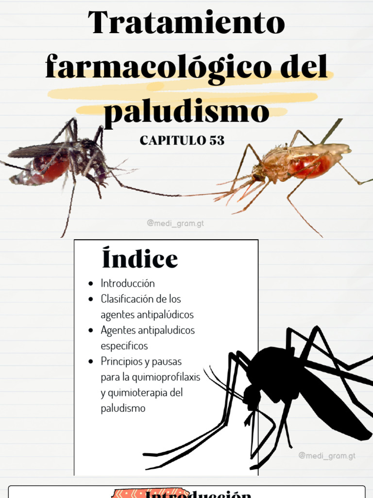 Tratamiento del Paludismo: Guía Completa | PDF | Malaria | Plasmodium