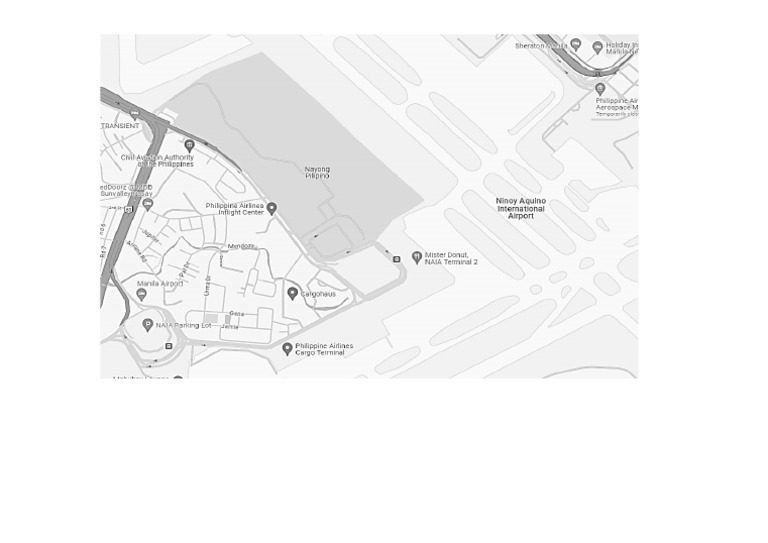 Naia Map T2 V2 Grayscale | PDF