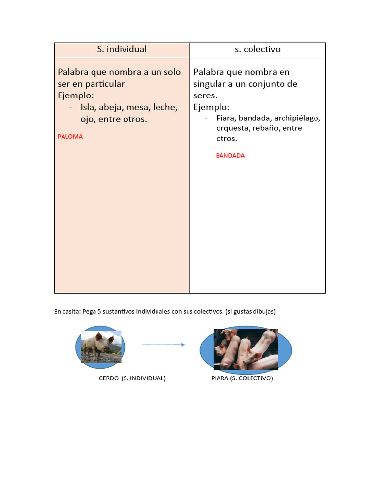 Sustantivos Individuales y Colectivos | PDF