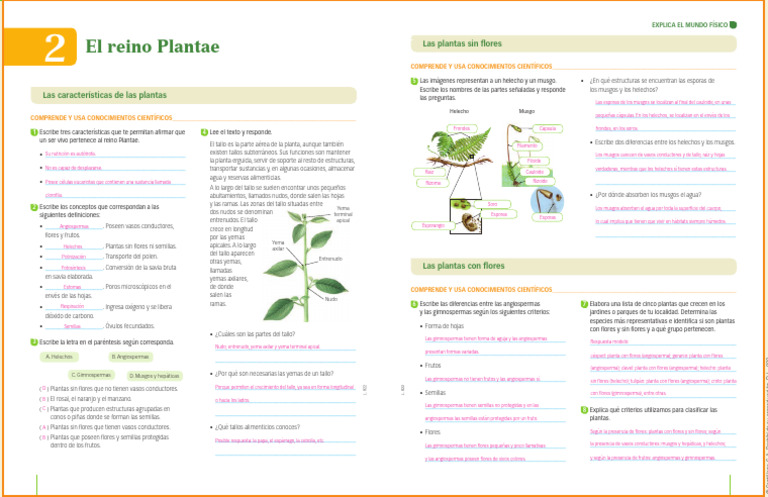 A1º-Sol-Pract-Act1 Cyt U2 | PDF