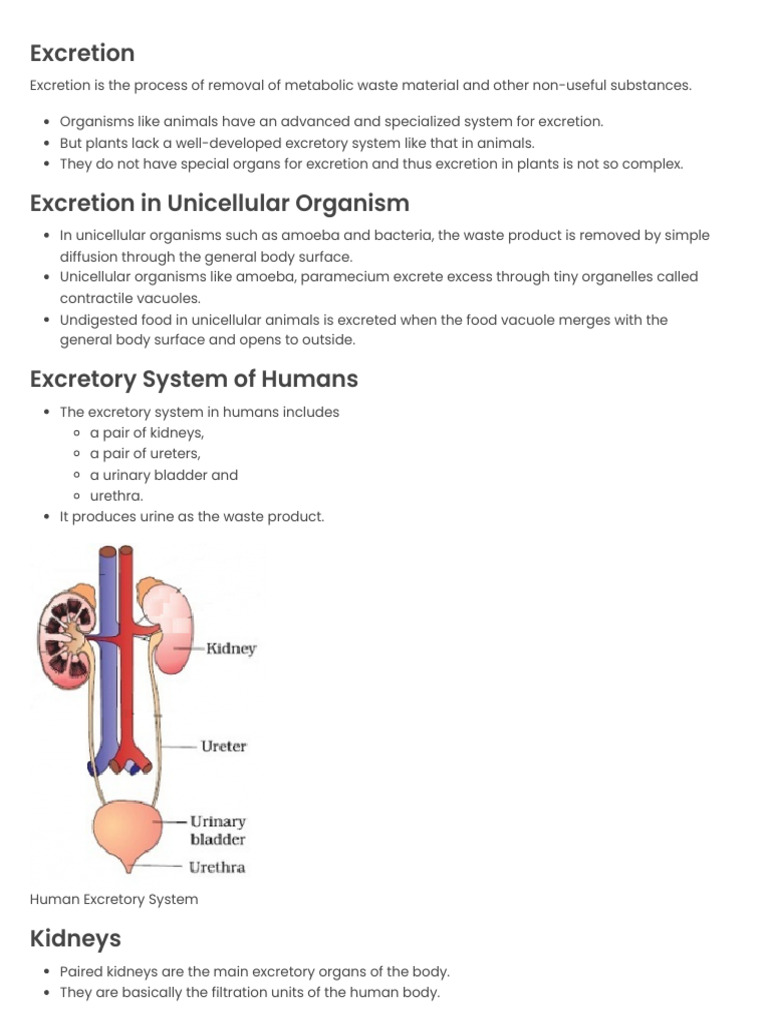 BYJU'S Learn Portal Login | PDF | Kidney | Excretion