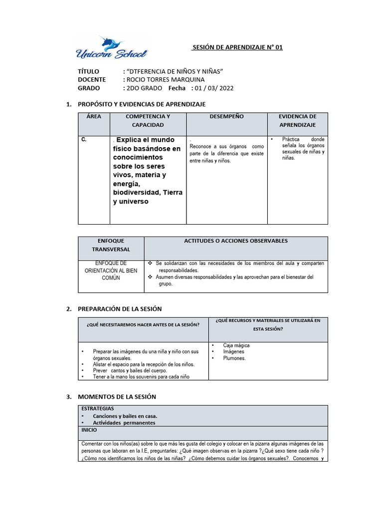 Sesión de Aprendizaje Nº1 | Descargar gratis PDF | Aprendizaje