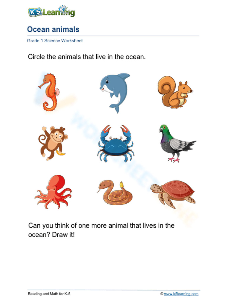 Ocean Animals | PDF