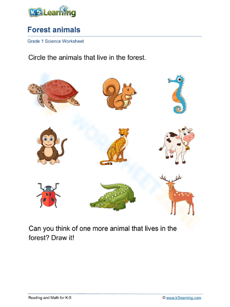 Forest Animals | PDF