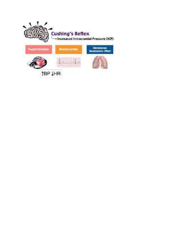 Cushing Reflex | PDF