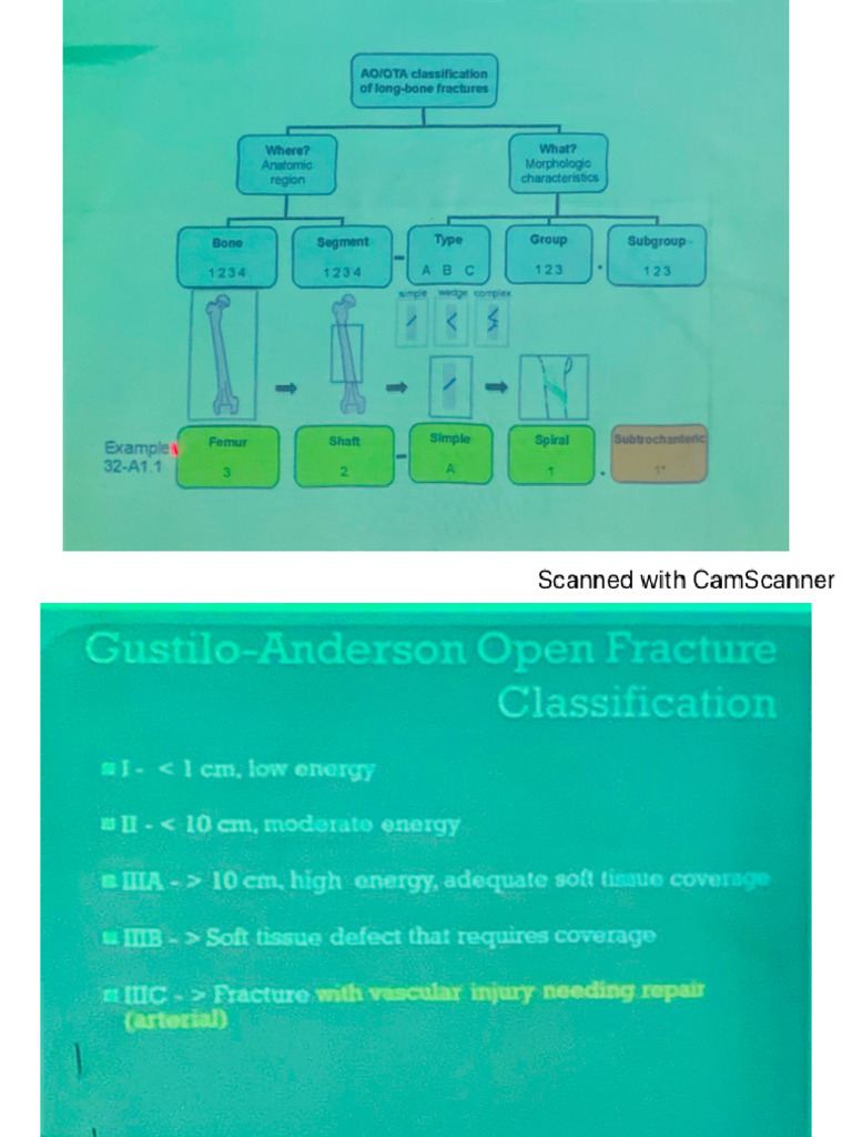 Fracture Classification and Management | PDF