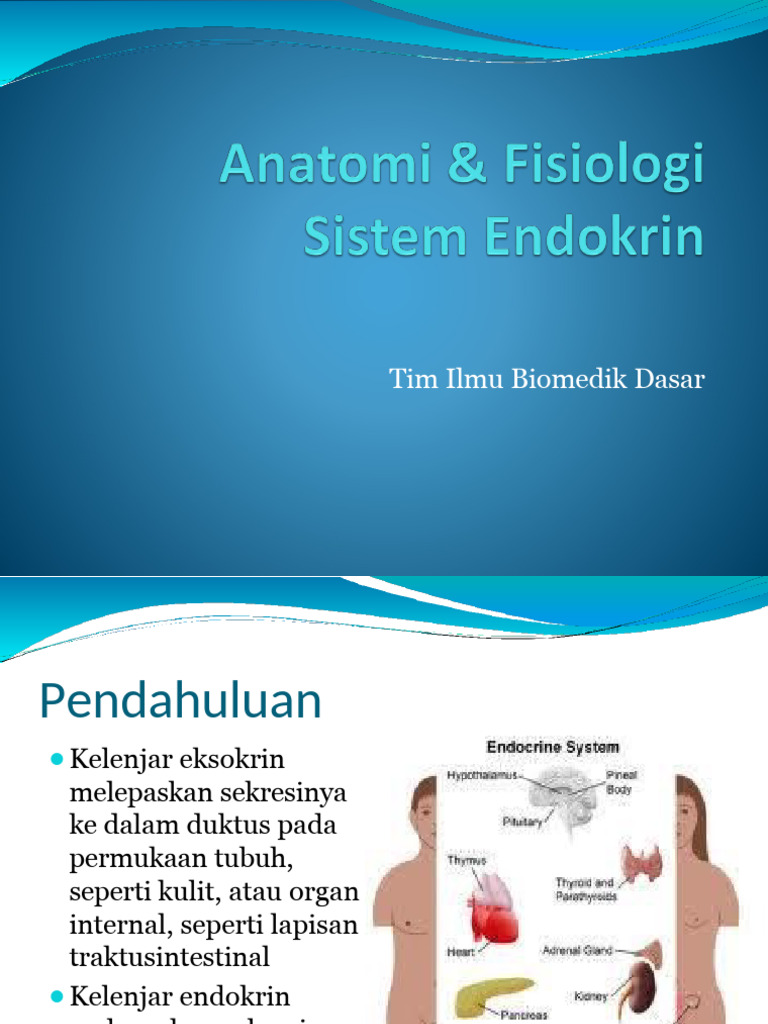 Anatomi & Fisiologi Sistem Endokrin | PDF