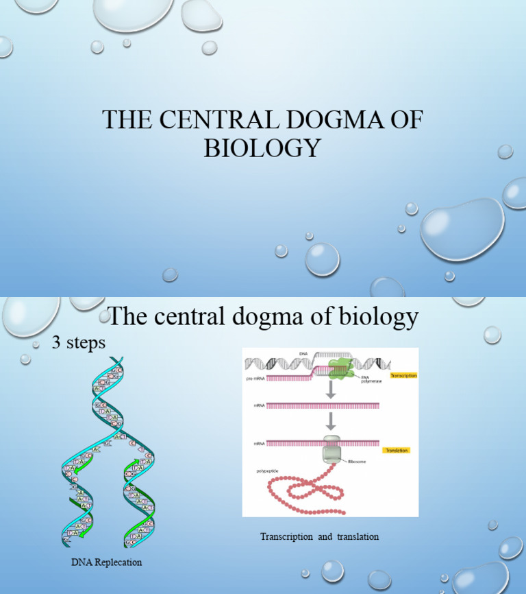 The Central Dogma of Biology | PDF