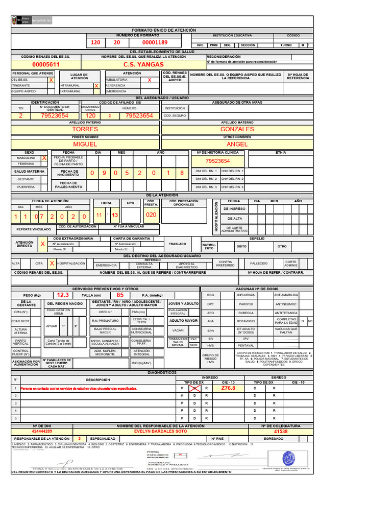 Como Llenar Fua 020 | PDF | Documento de identidad | Ciencias de la Salud