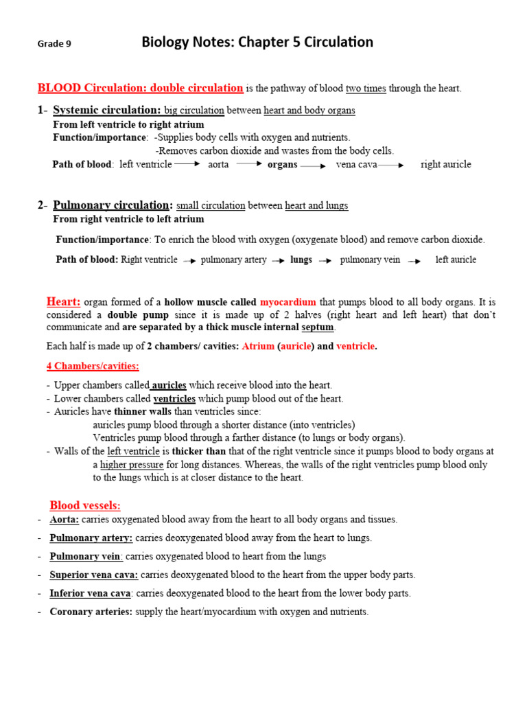 Brevet Ch5 Circulation Notes | PDF | Atrium (Heart) | Heart