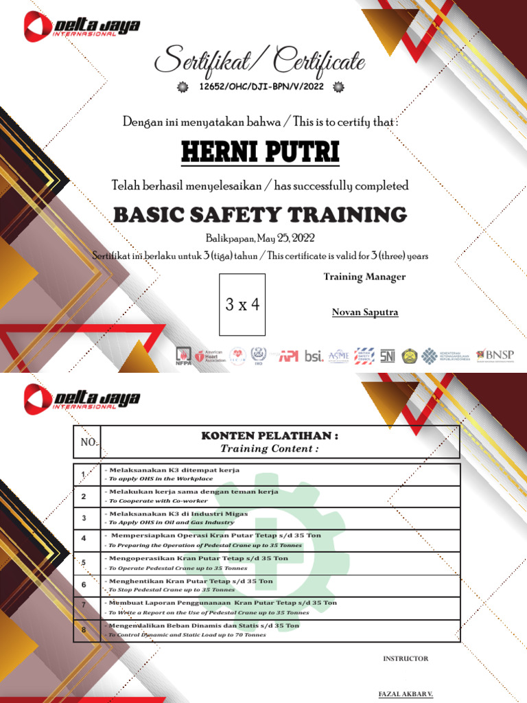 Basic Safety Training Certificate | PDF