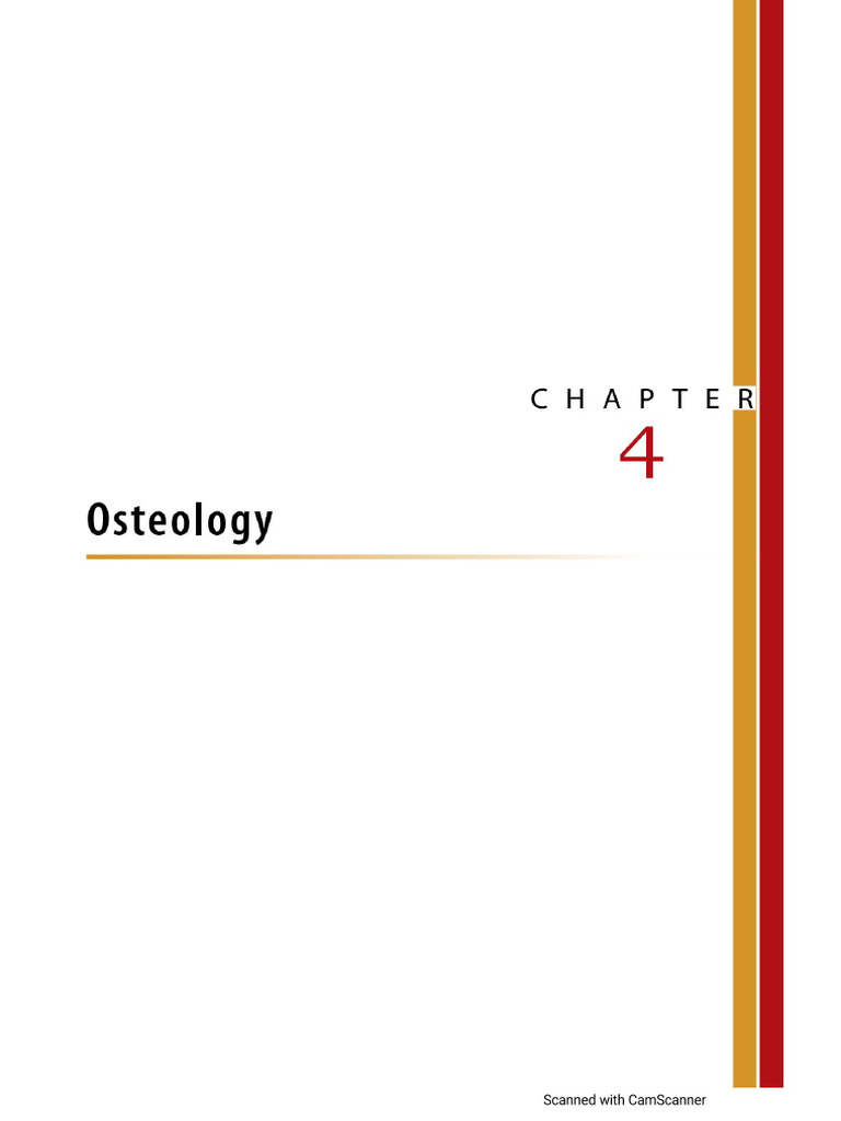 Osteology | PDF