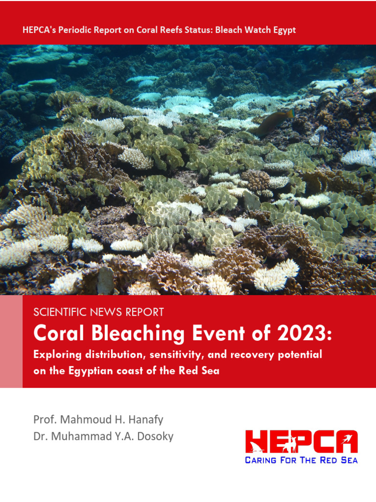Scientific News Report | PDF | Conservation Biology | Coral Reef