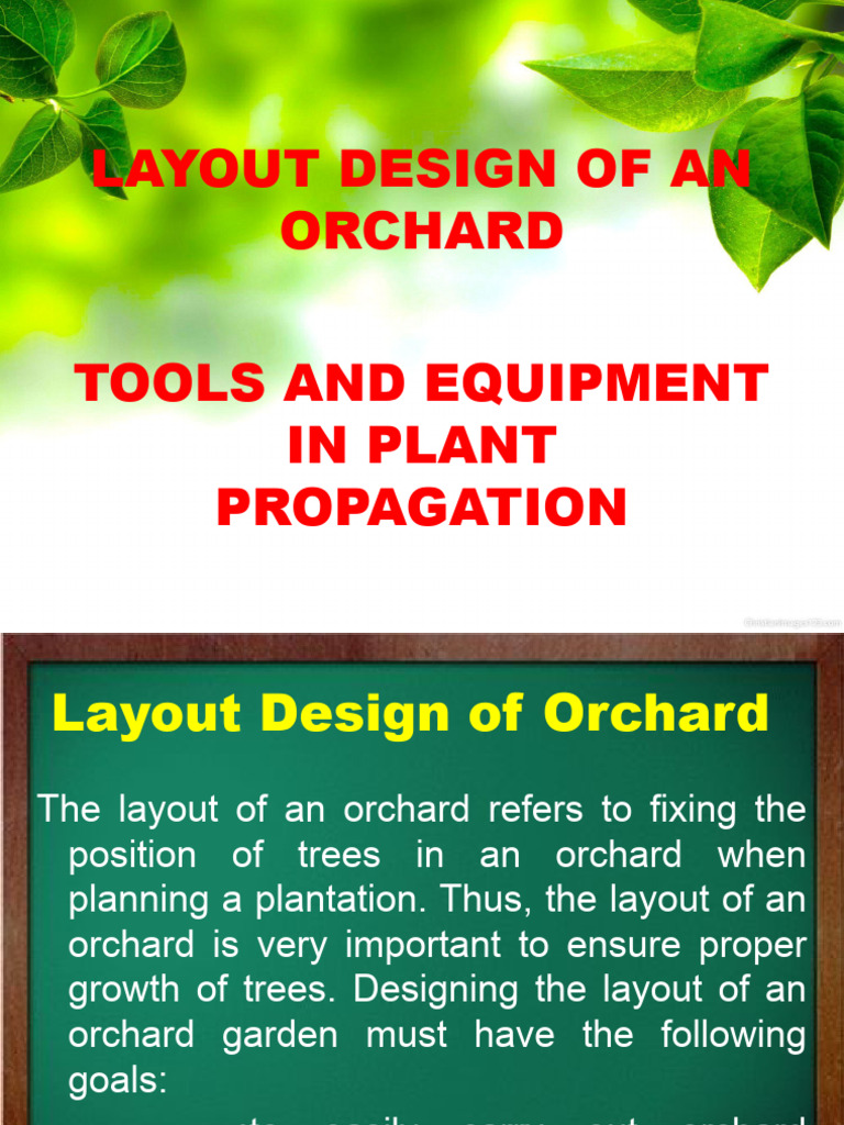Layout Design of An Orchards Tools and Equipment | PDF | Triangle | Area