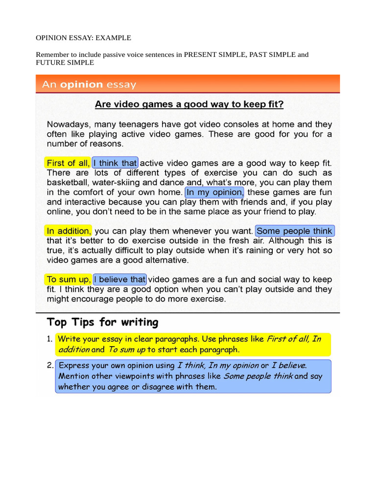 Opinion Essay Example | PDF