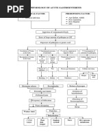 Pathophysiology of Acute Gastroenteritis | PDF | Diarrhea | Human Feces