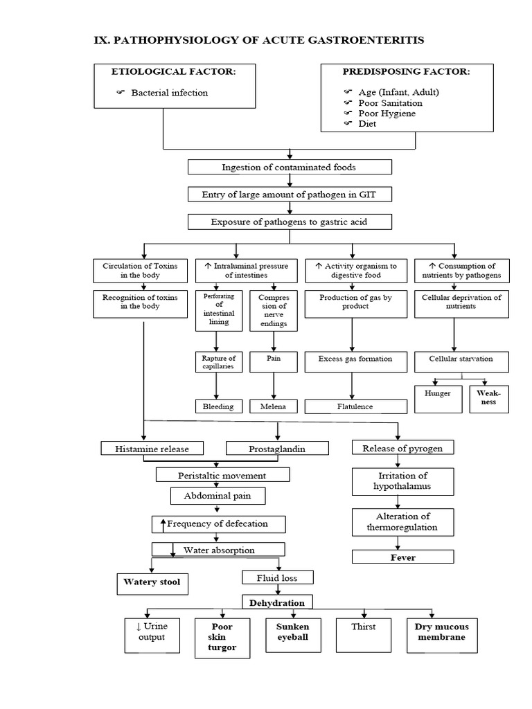 Pathophysiology of Acute Gastroenteritis | PDF | Digestion ...