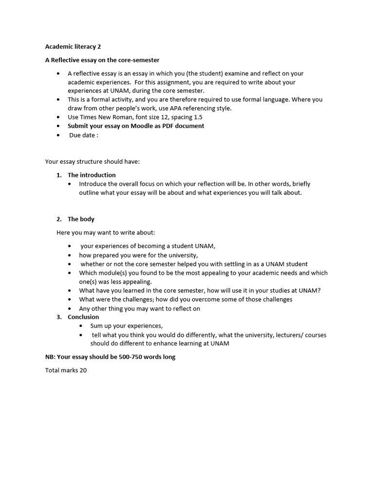 Reflective Essay Assignment | PDF