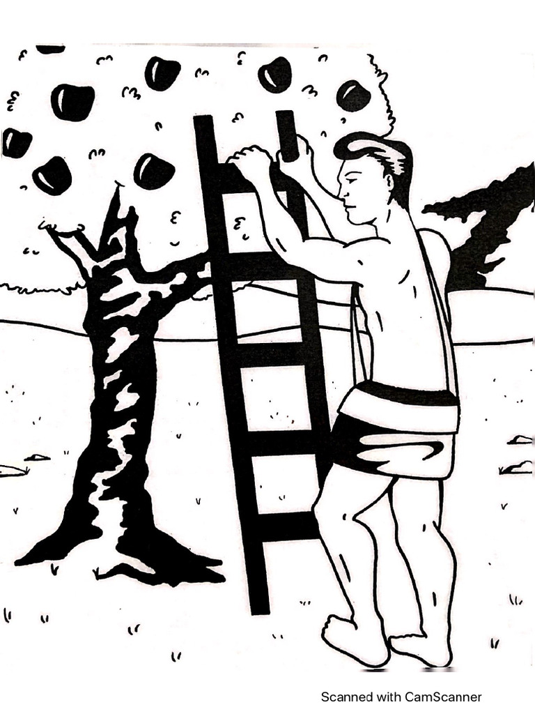 Pictorial Sequence | PDF