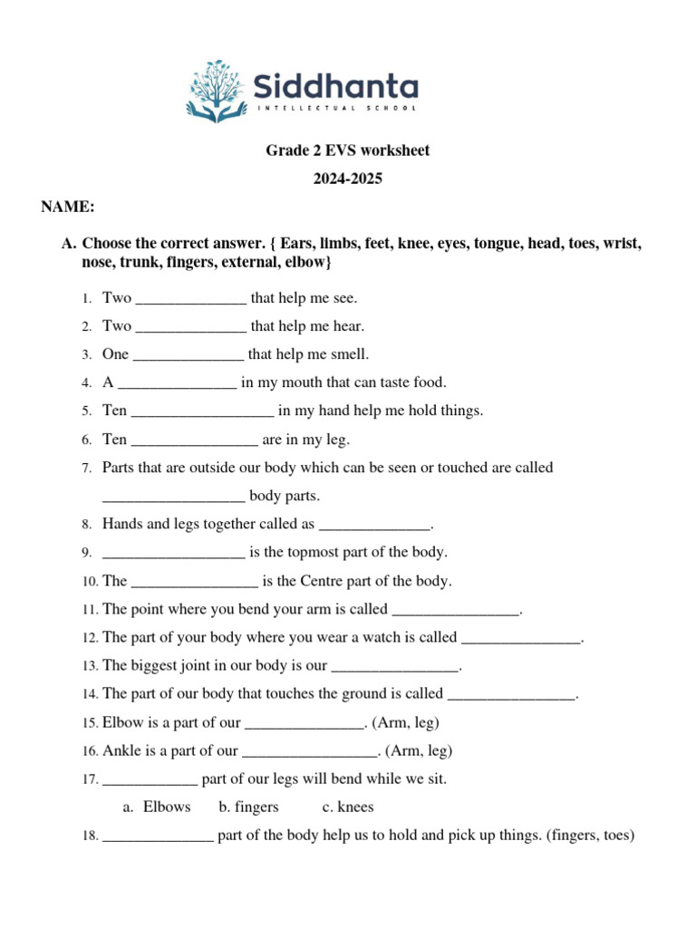 G2 Worksheet | Download Free PDF | Arm | Hand