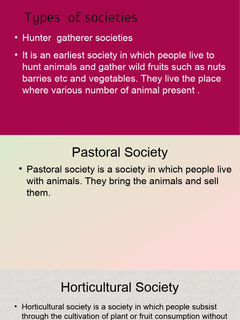 Types of Society | PDF