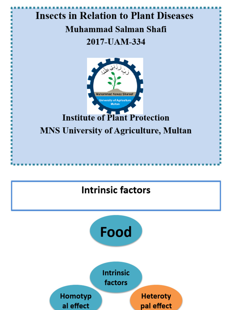 Insect Rearing Techniques Overview | PDF | Insects | Water
