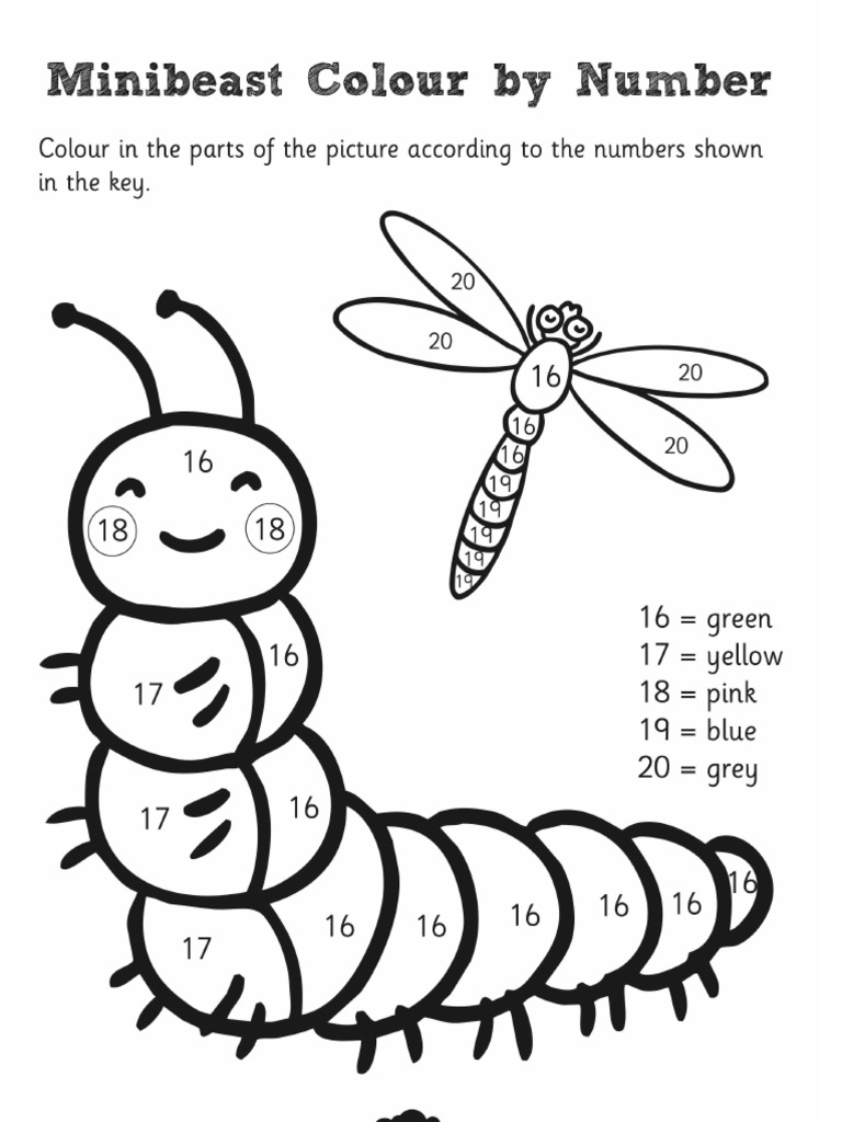 Colorbynumbers Caterpillar | PDF