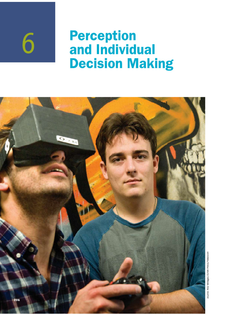 Chapter 6 - Perception and Individual Decision Making (Eb) | PDF