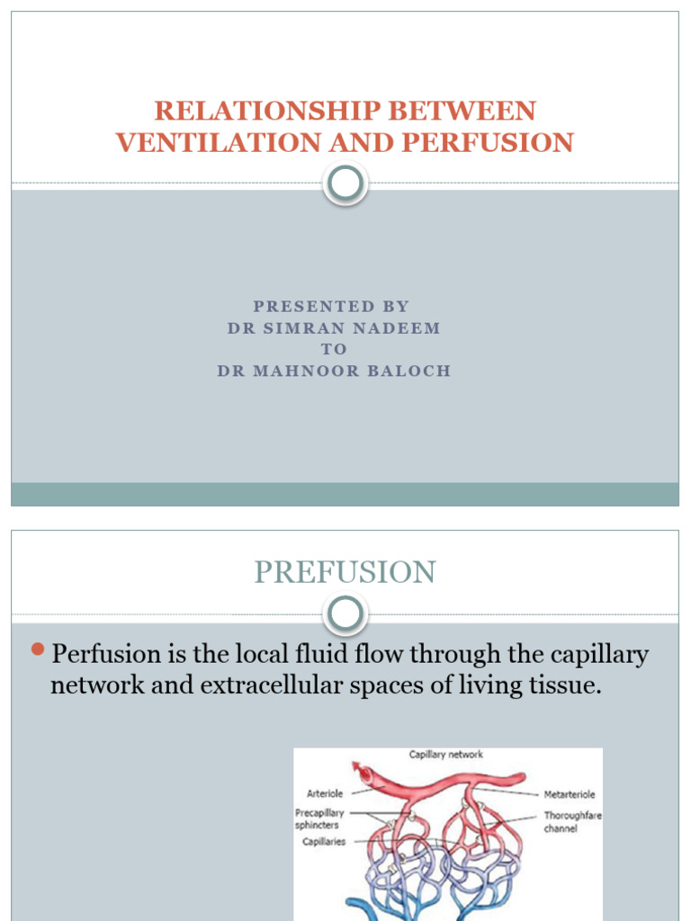 Relationship Between Ventilation and Perfusion | PDF