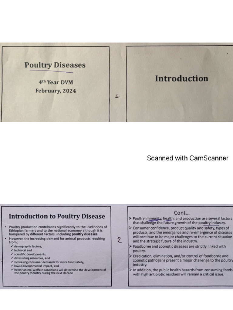 Poultry Dss Introduction | PDF