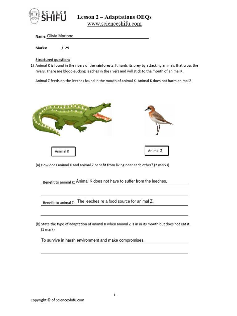 Psle Ws p6 Adaptations Lesson 2 Oeqs On Adaptations | PDF | Adaptation ...
