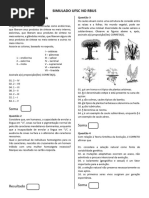 Plano de Aula Gnomon | PDF | Terra | Sol