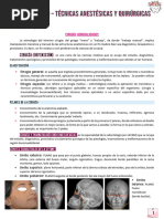 Istmo de Las Fauces | PDF | Boca | Anatomía humana