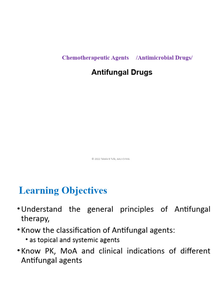 Antifungal Drugs: Mechanisms & Classifications | PDF | Medical ...