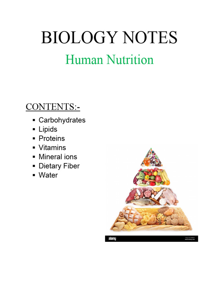 Human Nutrition Notes | PDF | Carbohydrates | Nutrition