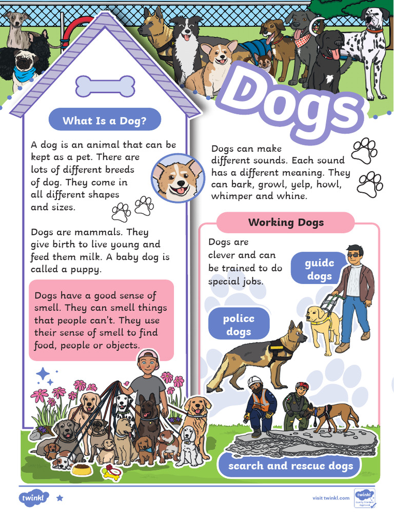 T L 5597 ks1 All About Dogs Differentiated Reading Comprehension | PDF ...