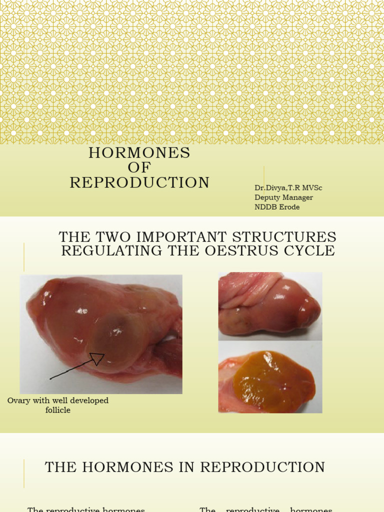 Hormones | PDF | Luteinizing Hormone | Ovary