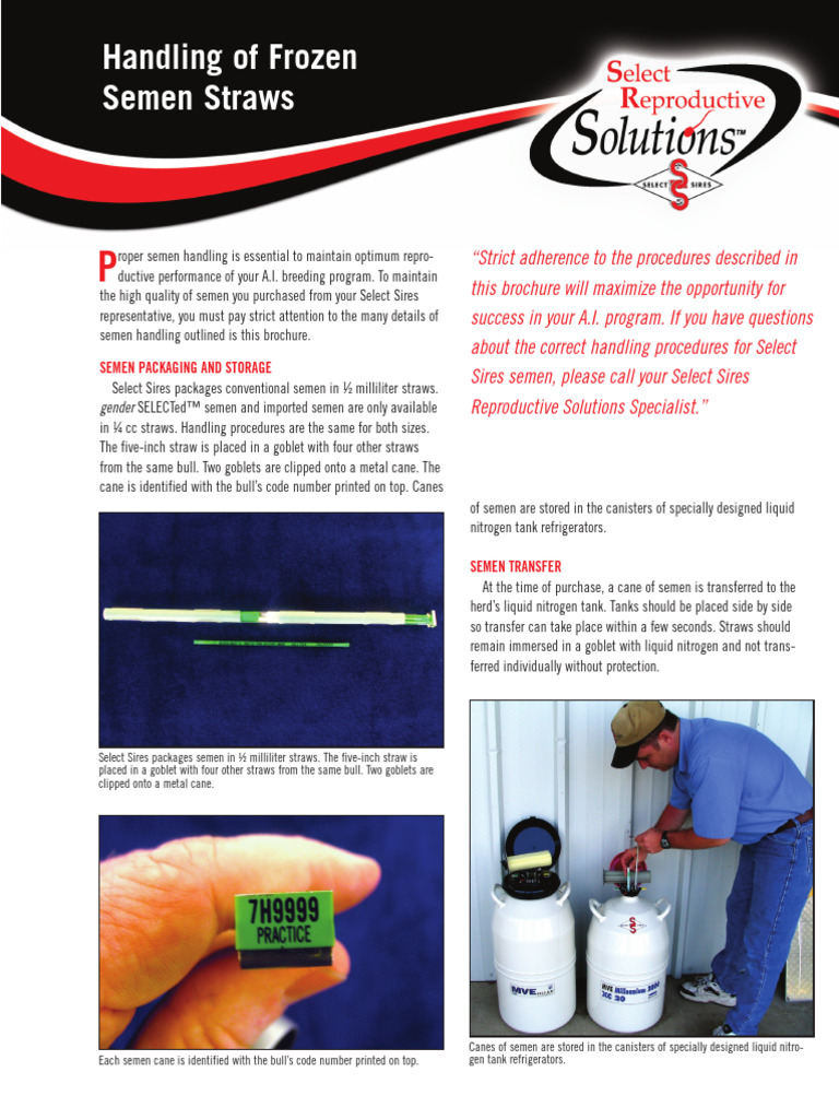 Chapter 6 PDF 3 SS Handling Frozen Semen Straws X | PDF