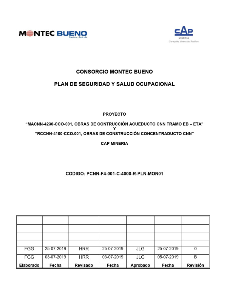 Psso Rev 3 | PDF | Seguridad y salud ocupacional | Riesgo