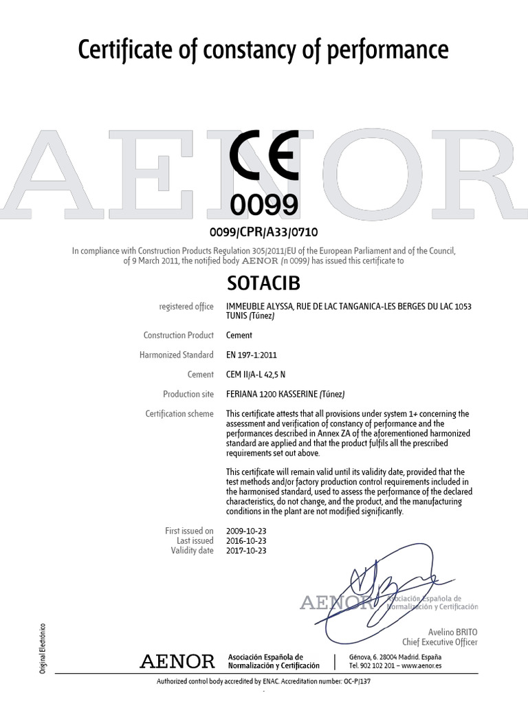 Certificate of Performance for Cement | PDF | Public Law | European Union