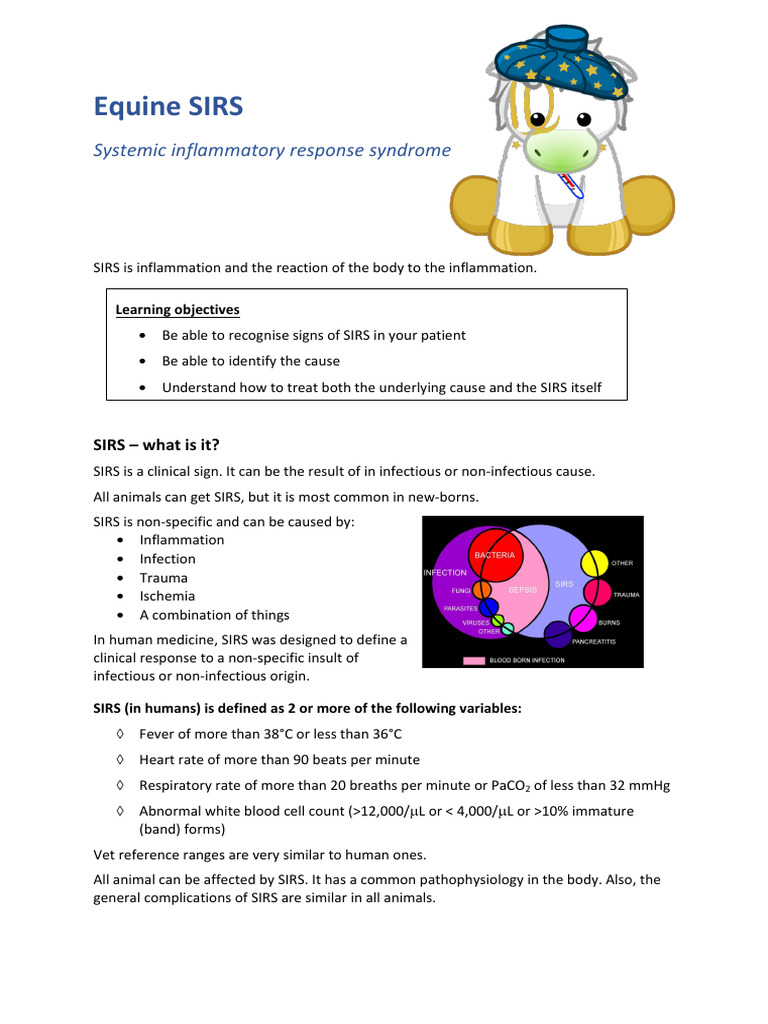 Equine SIRS | PDF | Sepsis | Inflammation