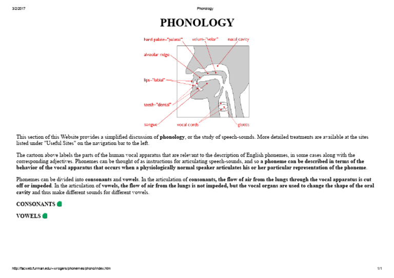 Phonology | PDF
