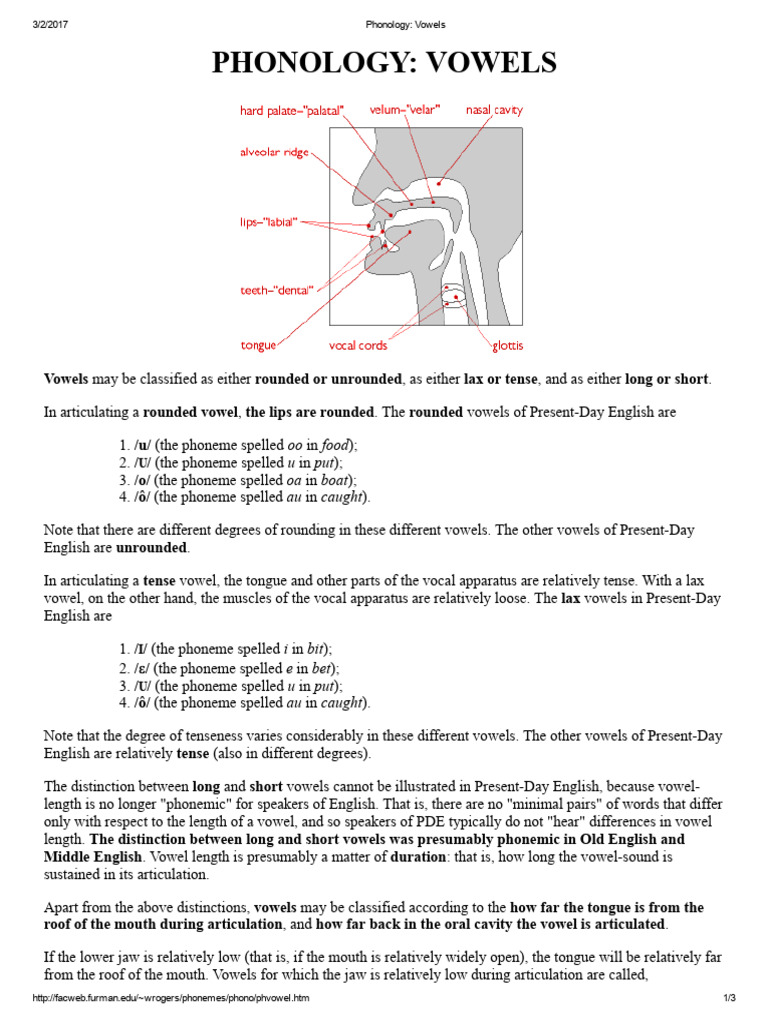Phonology Vowels | PDF | Vowel | Phoneme